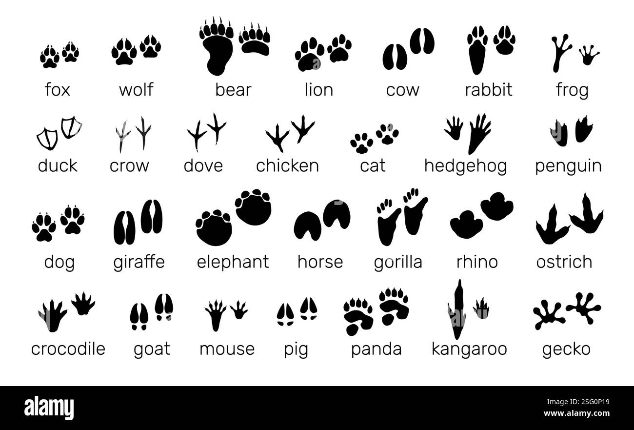 Animals footprints. Black silhouette icons. Paw prints. Birds steps. Predators and herbivores ...