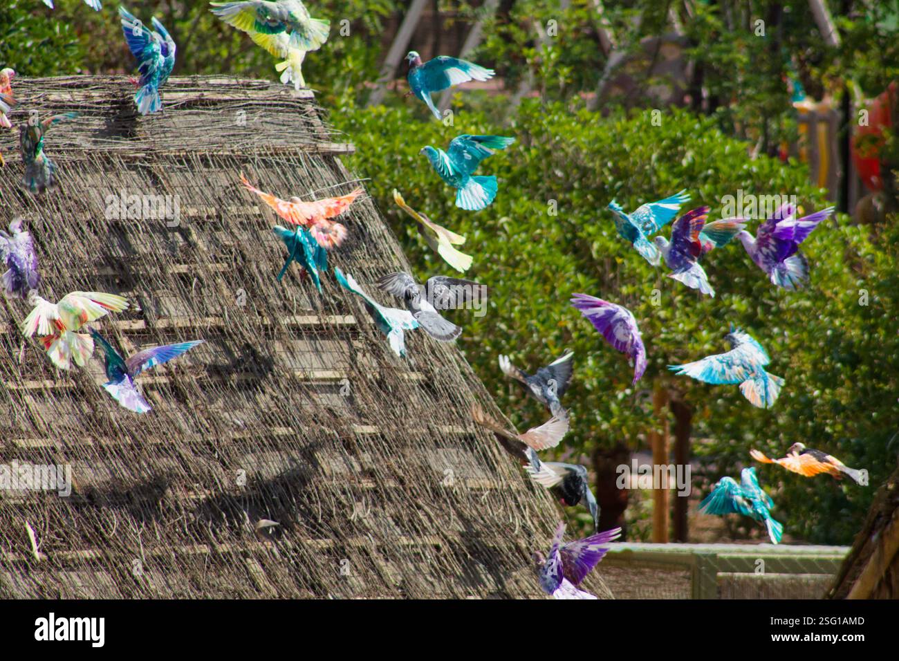A vibrant scene depicting colorful birds in flight around a thatched ...