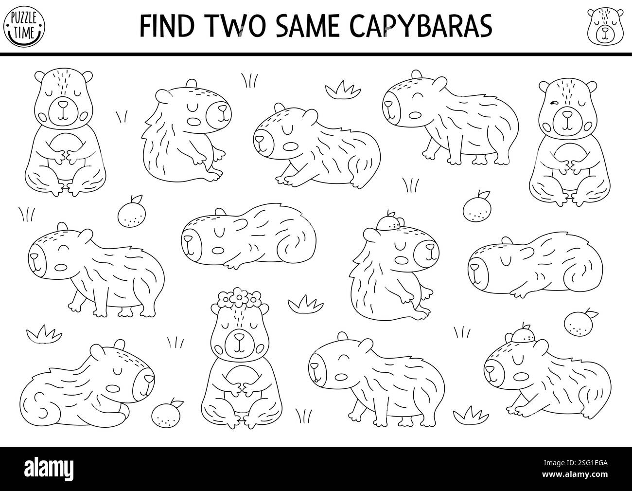Find two same capybaras. Capibara black and white matching activity for ...