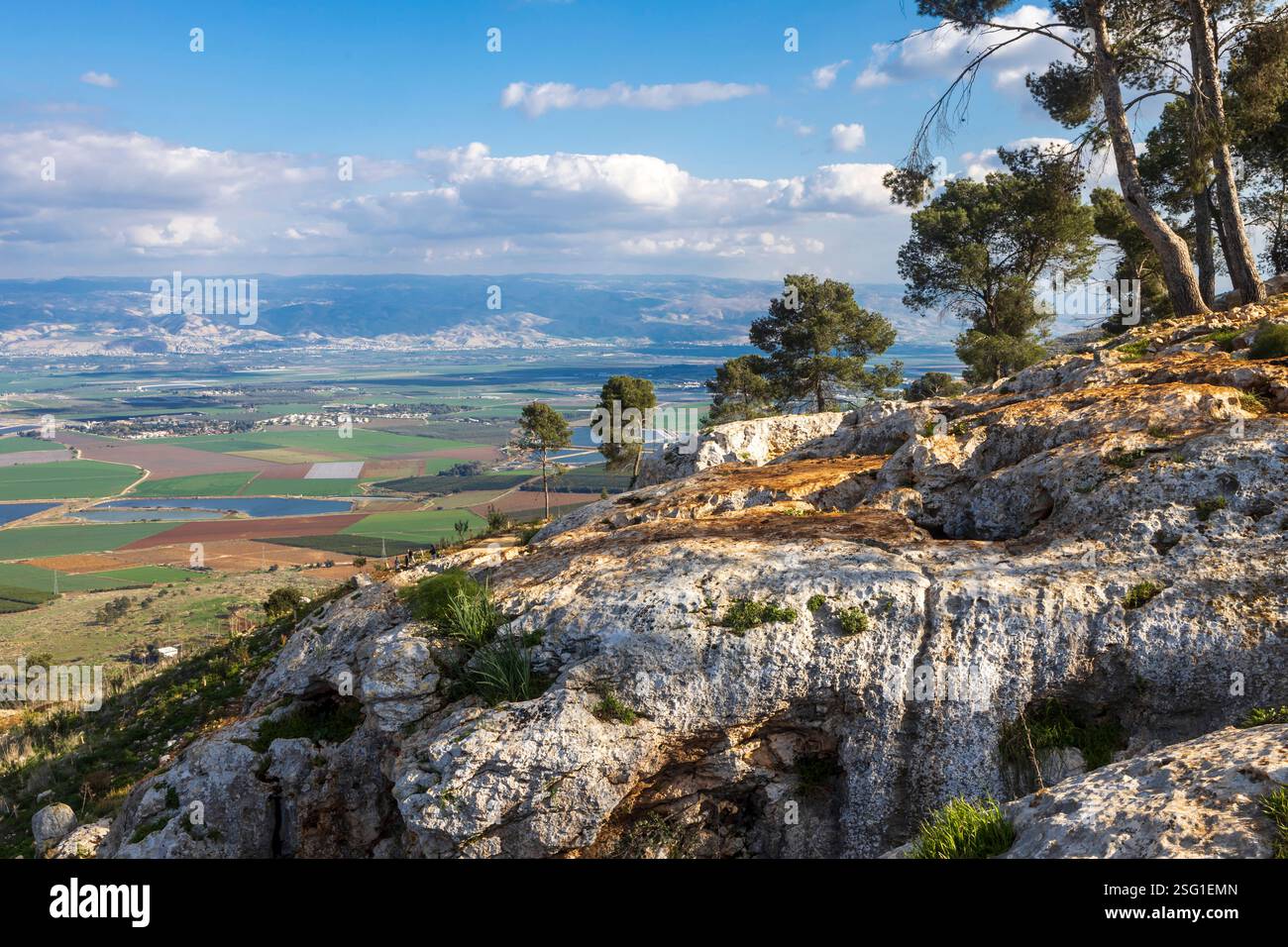 A panorama from Mount Gilboa featuring pines, flora, the valley, and ...