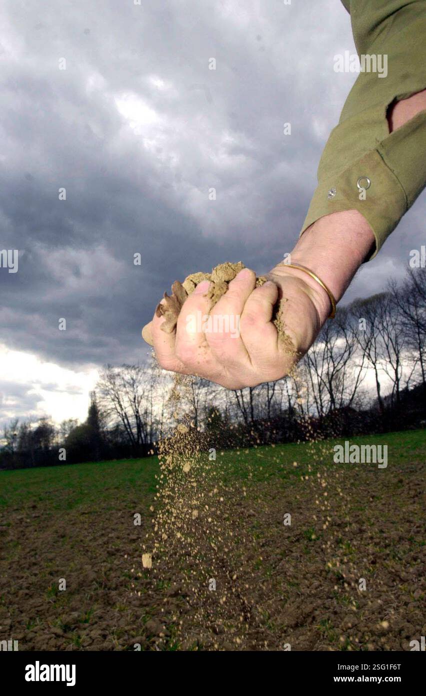 drought in agriculture on the field,dryness in time drought in ...