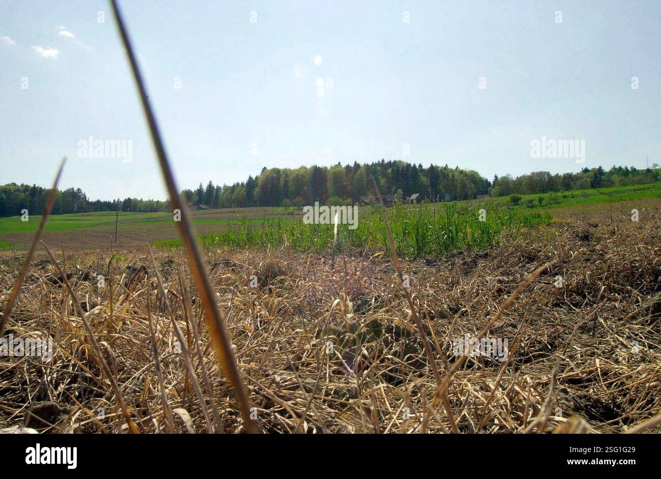 drought in agriculture on the field,dryness in time drought in ...