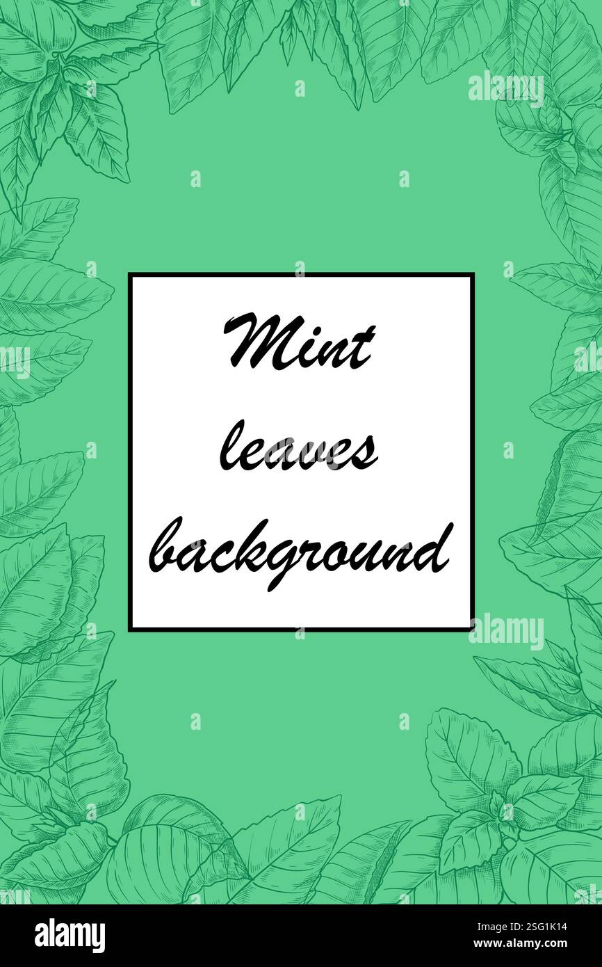 Mint leaves background. Green peppermint. Garden melissa plant ...