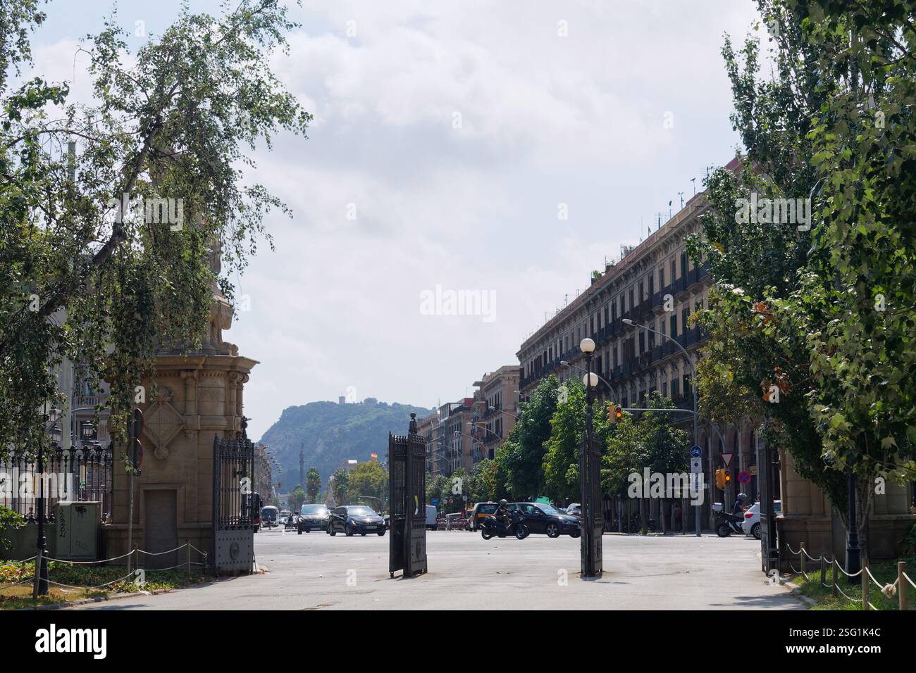 Street view featuring trees hi-res stock photography and images - Alamy