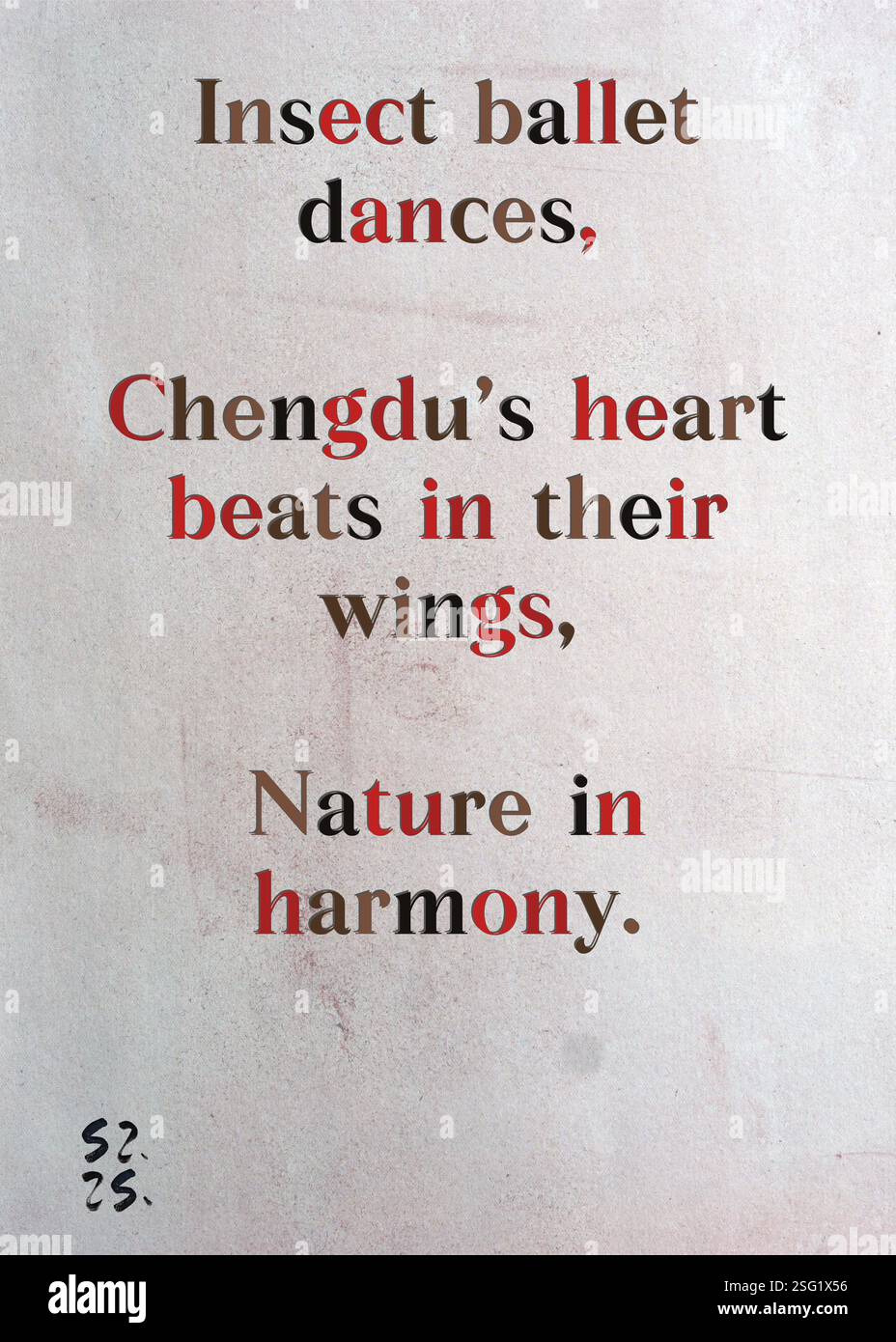 Insect ballet dances, Chengdu's heart beats in their wings, Nature in ...