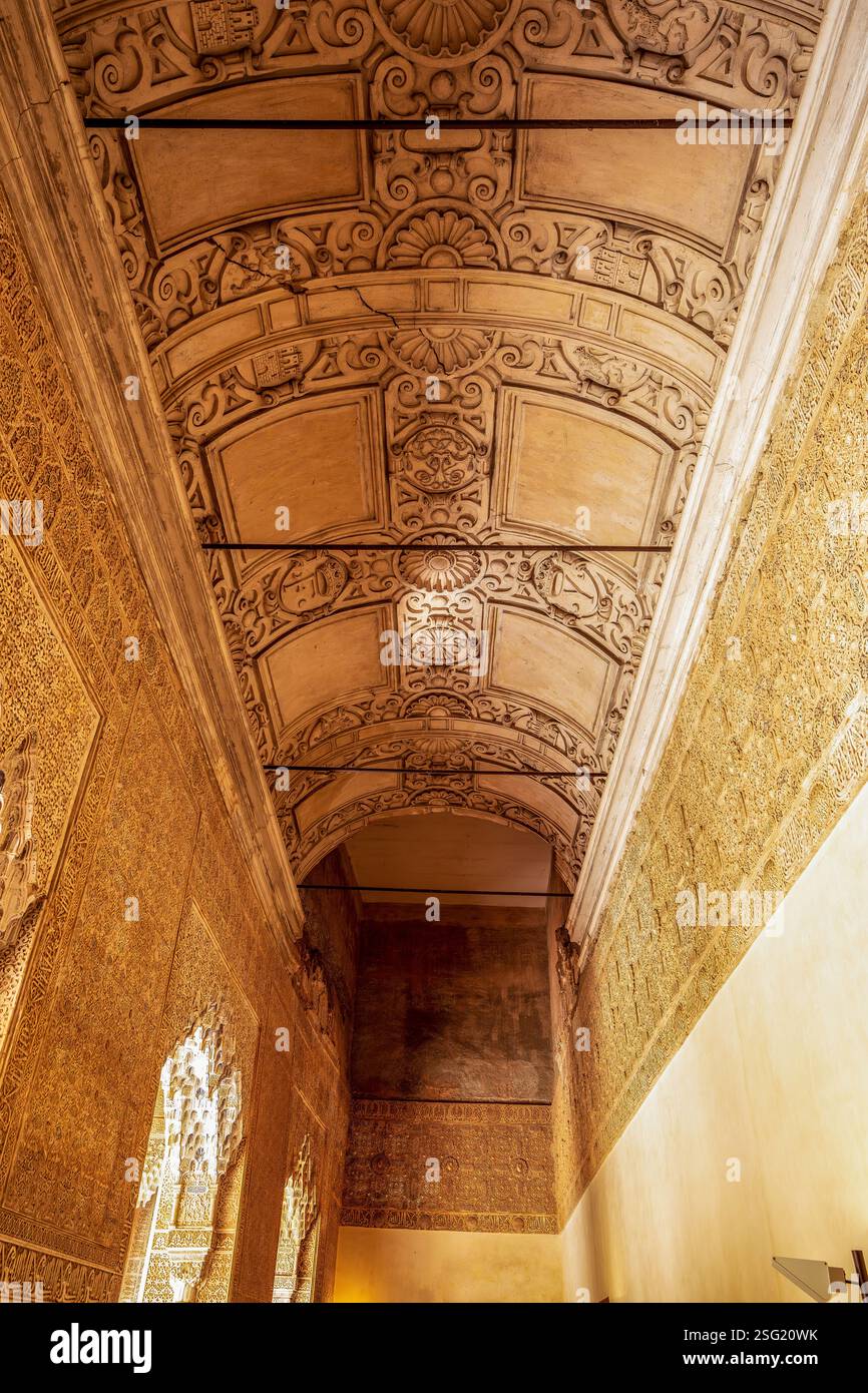 Side Chamber of the Palace of the Lions Alhambra Showcasing Nasrid ...