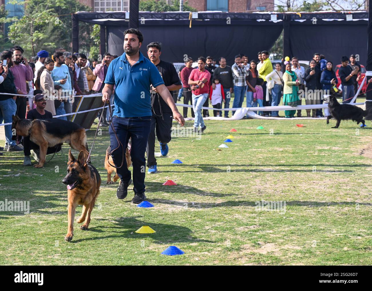 NOIDA, INDIA - FEBRUARY 9: Dogs of different breeds participated in the ...