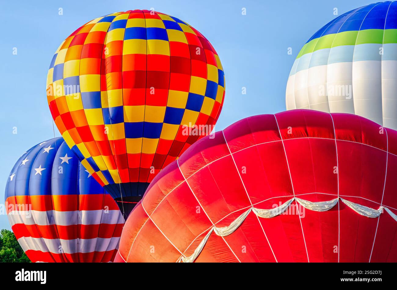Colorful hot air balloons inflating for takeoff against a clear blue sky at a festival event ...