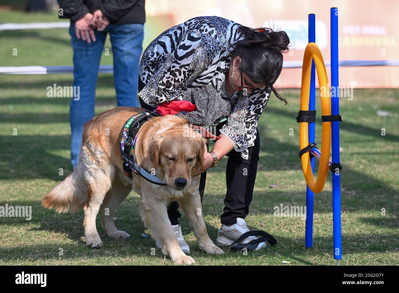 NOIDA, INDIA - FEBRUARY 9: Dogs of different breeds participated in the ...