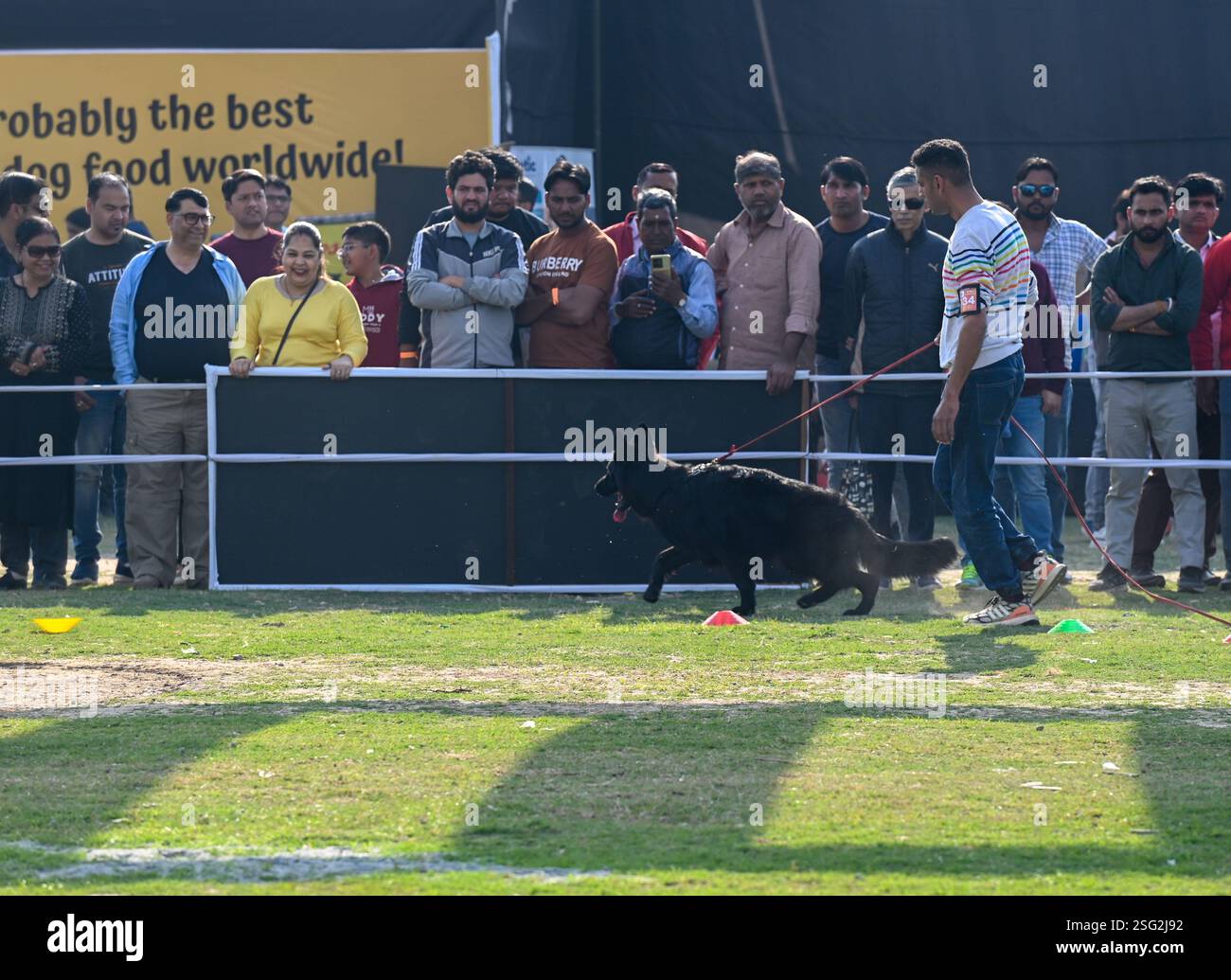 NOIDA, INDIA - FEBRUARY 9: Dogs of different breeds participated in the ...