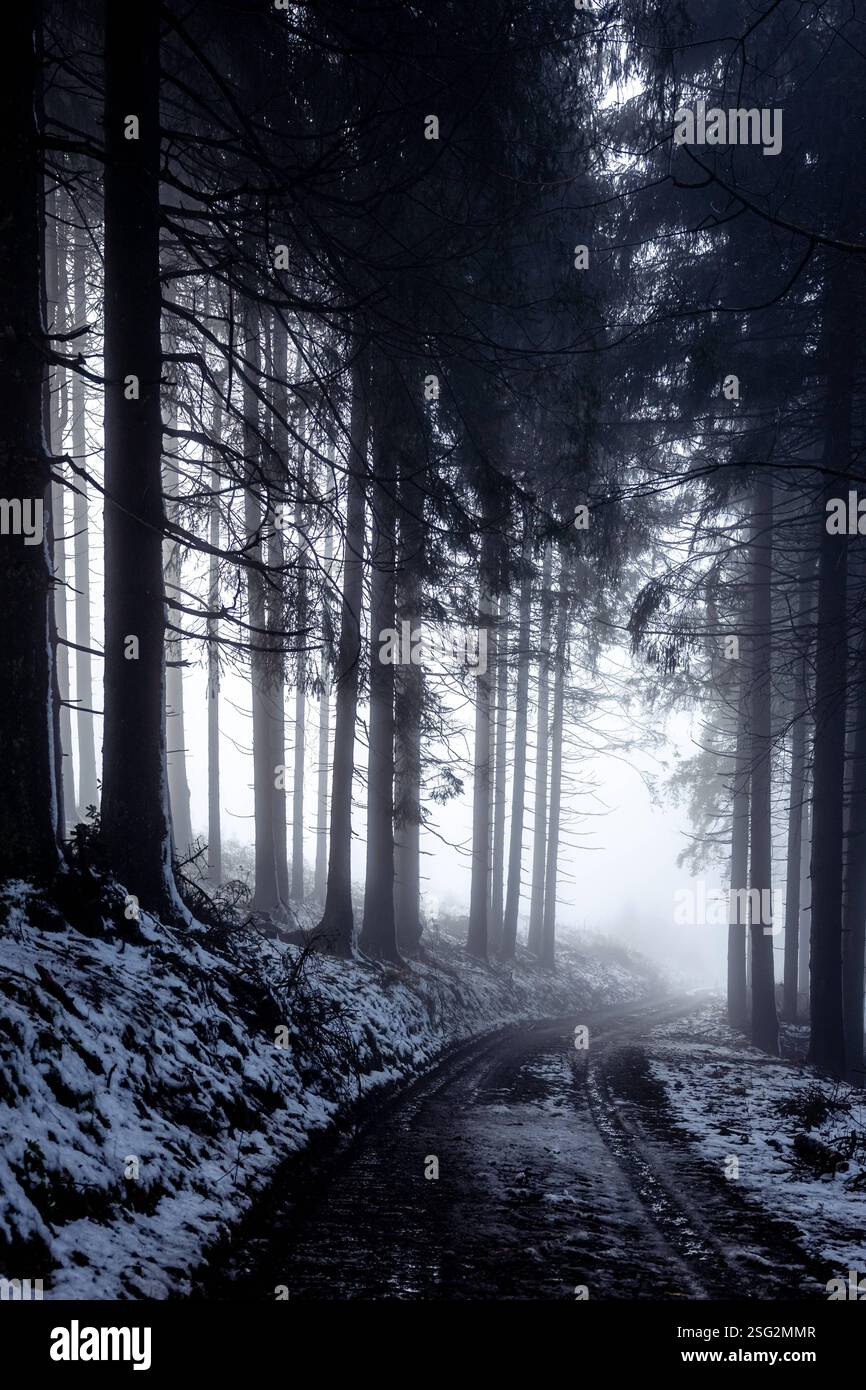 Winterberg im Schnee am 25.12.2024 Der Nebel taucht die Landschaft rund um den Kahlen Asten in ...