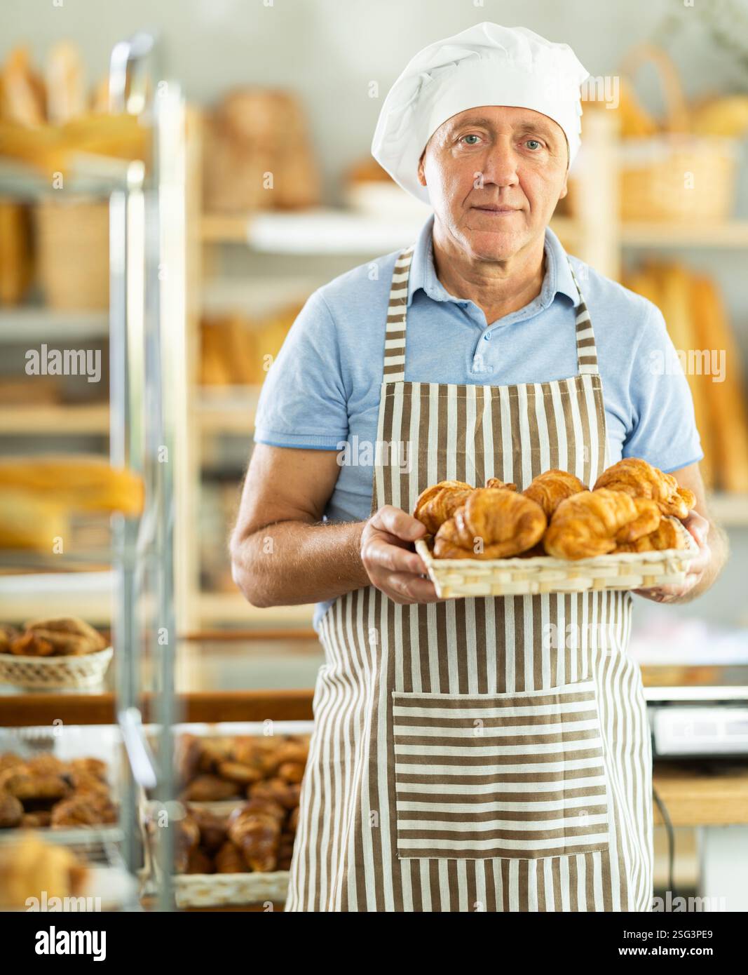 Bakery senior man employee holds basket of ready-made croissant Stock ...
