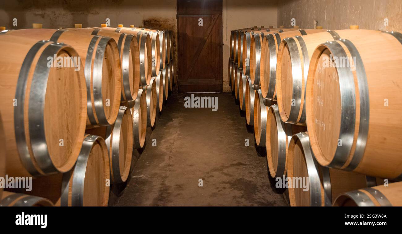 Exploring the Charm of French Wine Cellars with Wooden Barrels in a ...