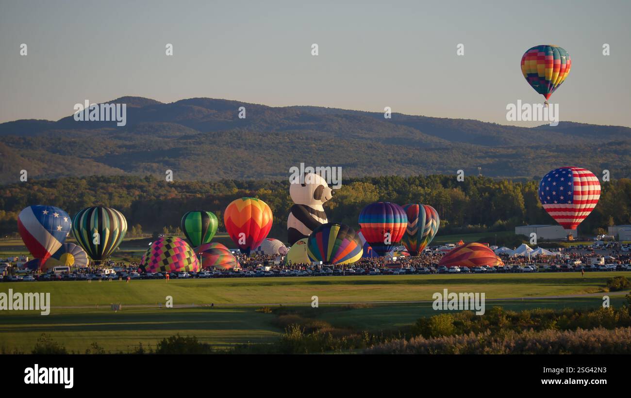 Colorful hot air balloons float above a lush landscape with a ...