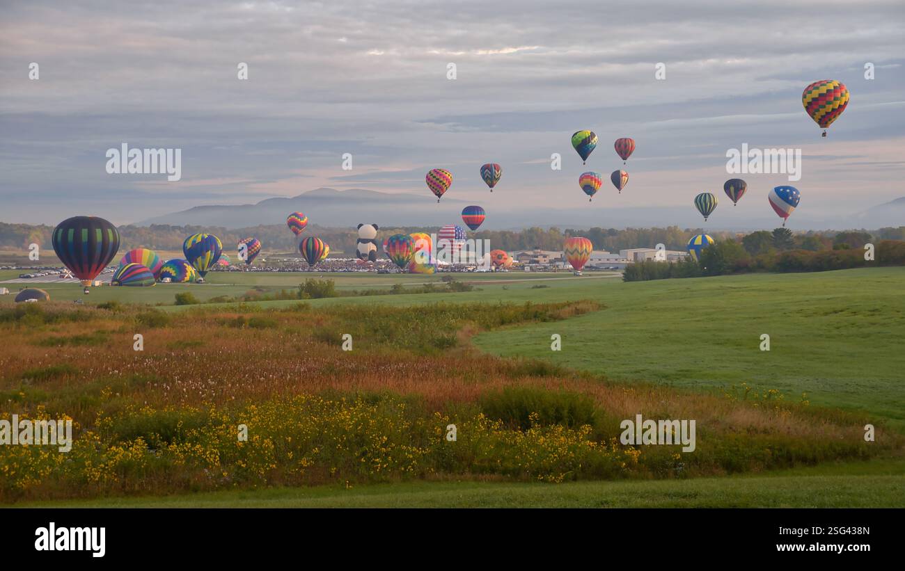 Colorful hot air balloons float above a lush landscape with a ...