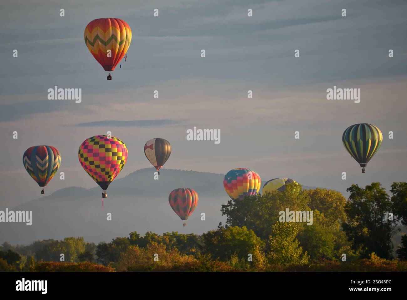 Colorful hot air balloons float above a lush landscape with a ...