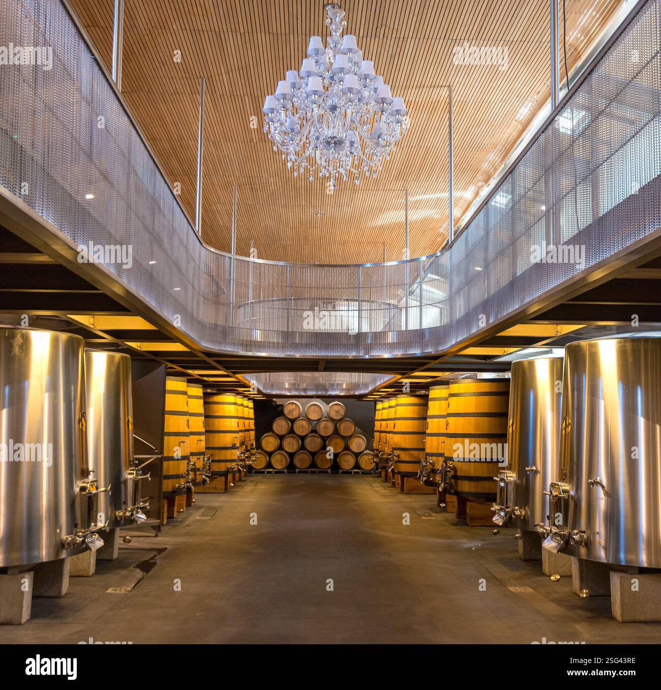 Rustic elegance in a modern French wine cellar showcasing oak barrels ...