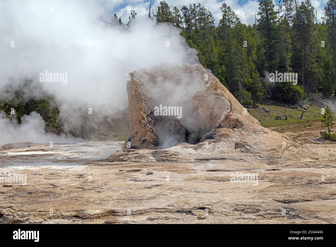 Large Cone of the Giant Geyser in the Upper Geyser Basin of Yellowstone ...