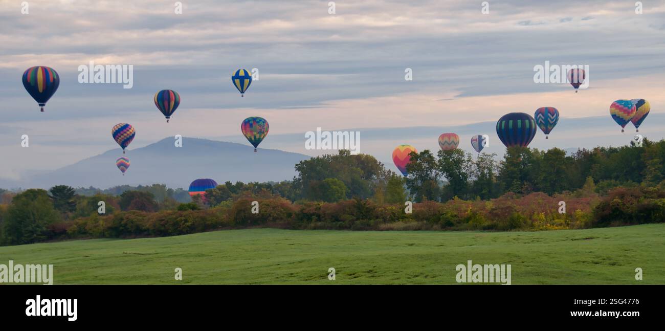 Colorful hot air balloons float above a verdant landscape with a ...