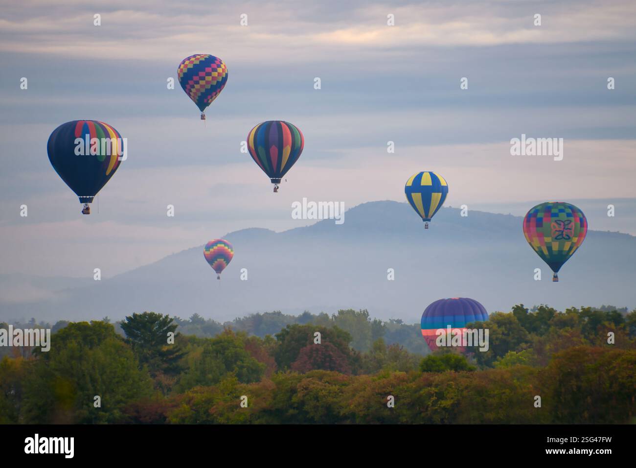 Colorful hot air balloons float above a verdant landscape with a ...