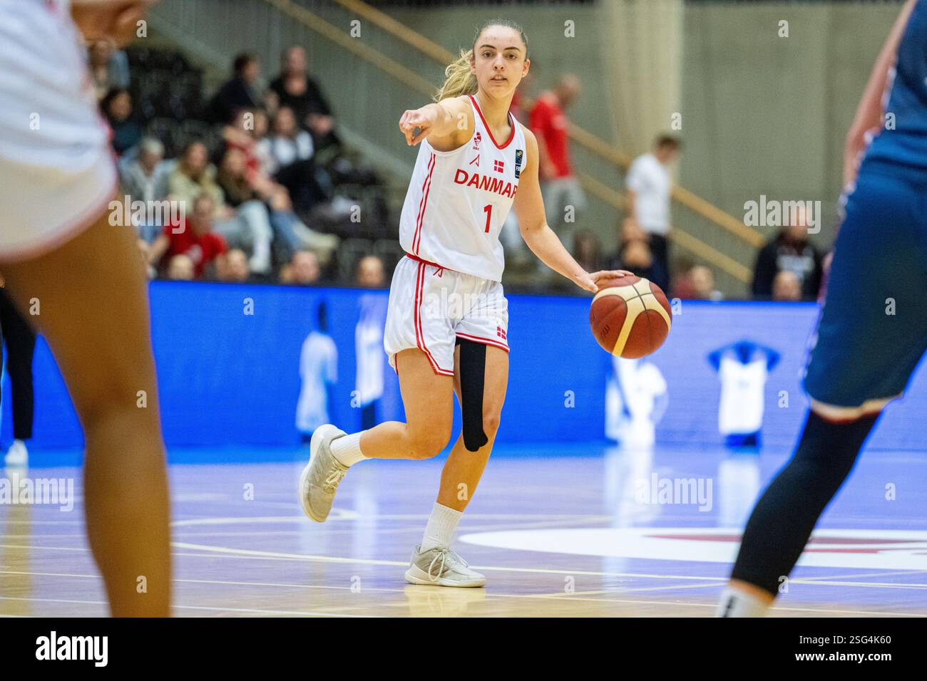 Gentofte, Denmark. 09th Feb, 2025. Nikoline Sandback (1) of Denmark ...