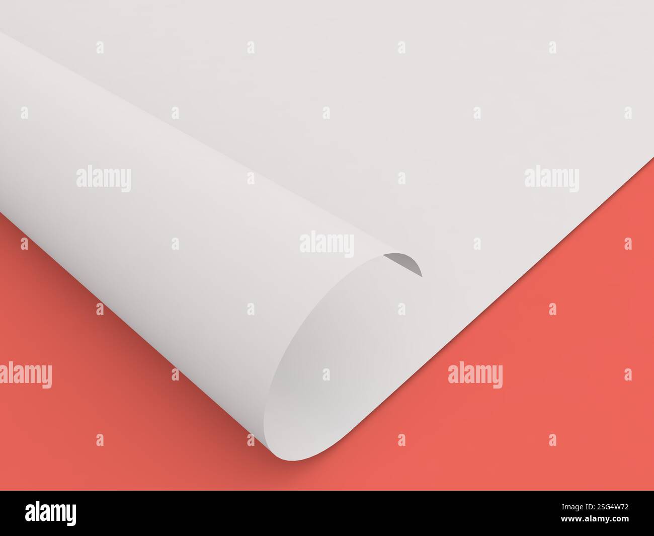A rolled edge of blank, white paper stretches across a smooth, bright ...