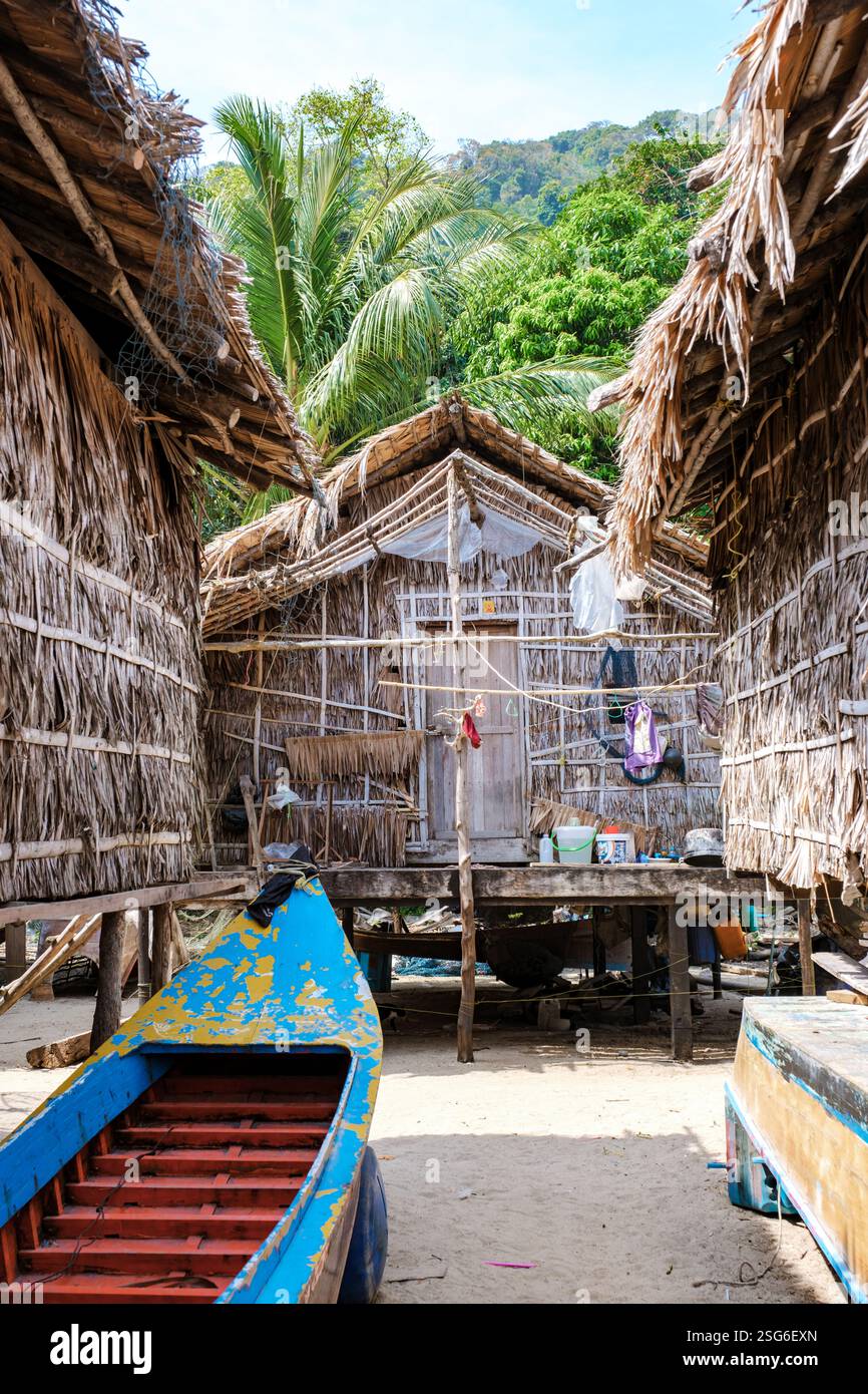 Traditional straw huts stand among lush greenery on Surin Island ...