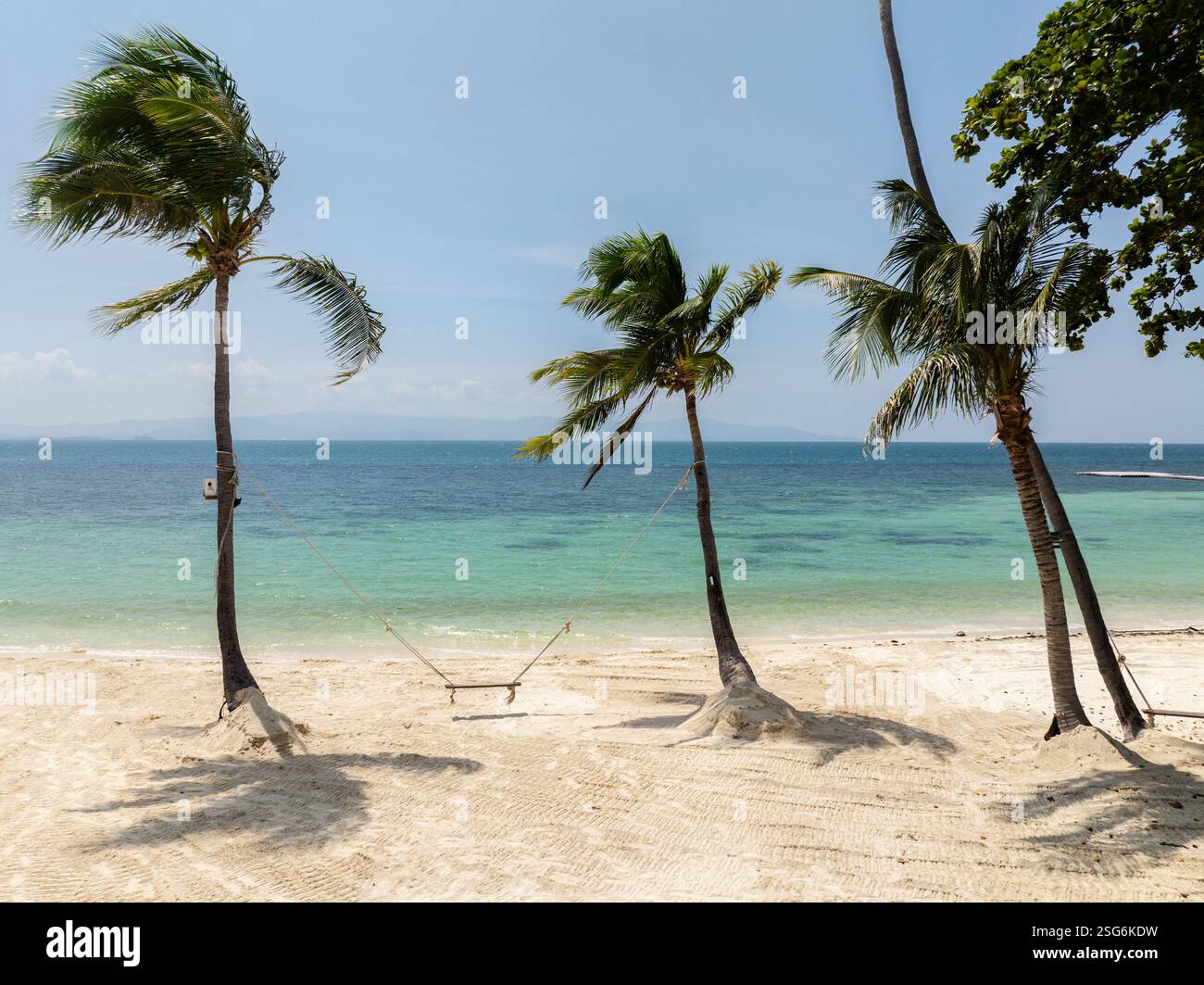 Palm trees with a swing over a white sandy beach facing the turquoise ...