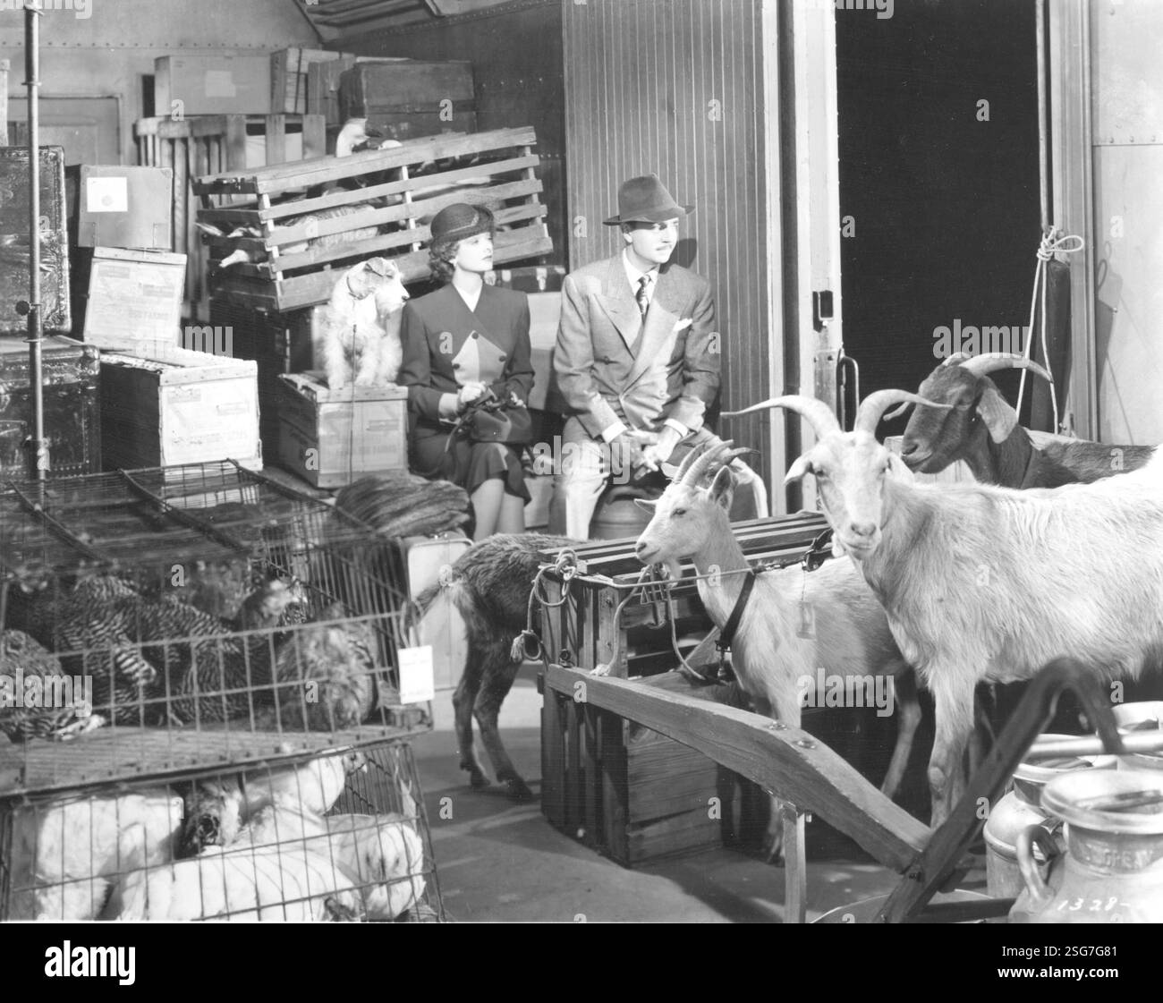 THE THIN MAN GOES HOME MYRNA LOY, WILLIAM POWELL PICTURE FROM THE ...