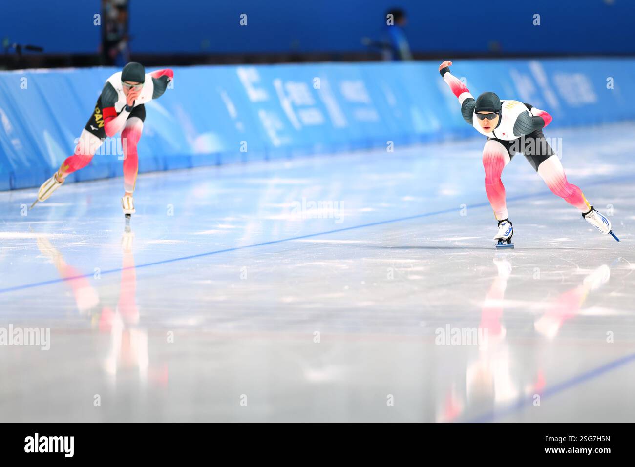 Harbin, China. 8th Feb, 2025. (L to R) Kotaro Kasahara, Ryota Kojima (JPN) Speed Skating : Men's ...
