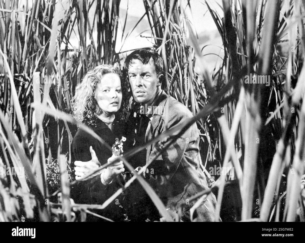 GUN CRAZY aka DEADLY IS THE FEMALE PEGGY CUMMINS, JOHN DALL Picture ...