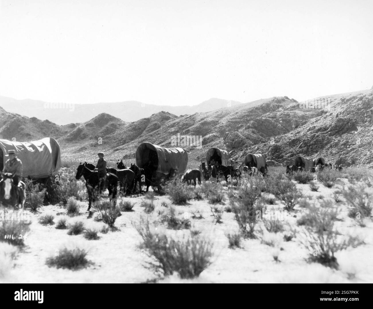 PIONEER SCOUT Directed by Lloyd Ingraham and Alfred L Werker Date: 1928 ...