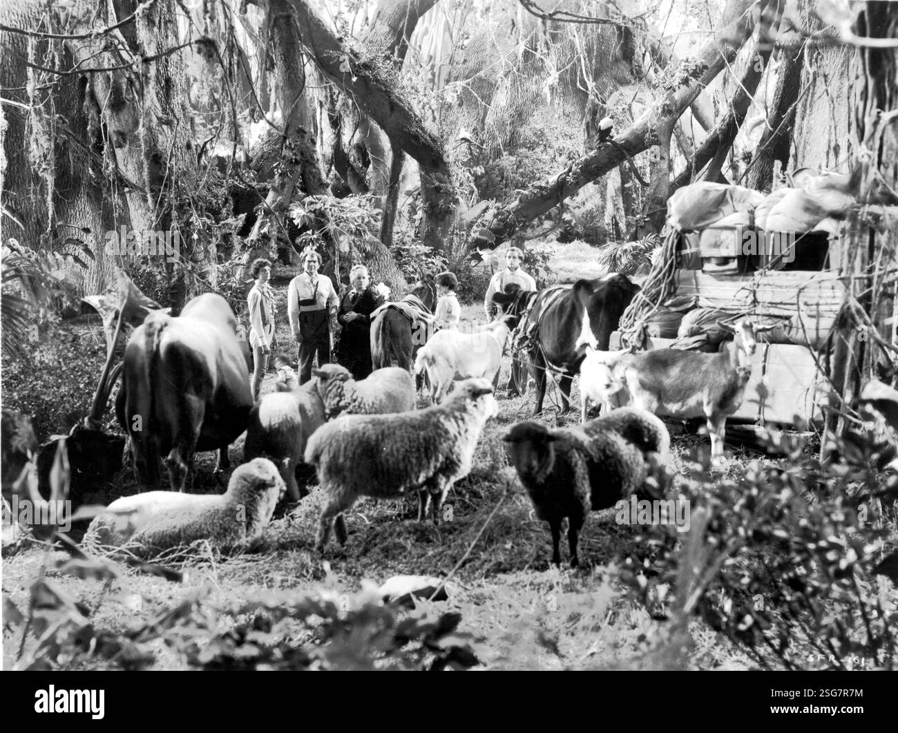 SWISS FAMILY ROBINSON FREDDIE BARTHOLOMEW, THOMAS MITCHELL, EDNA BEST ...