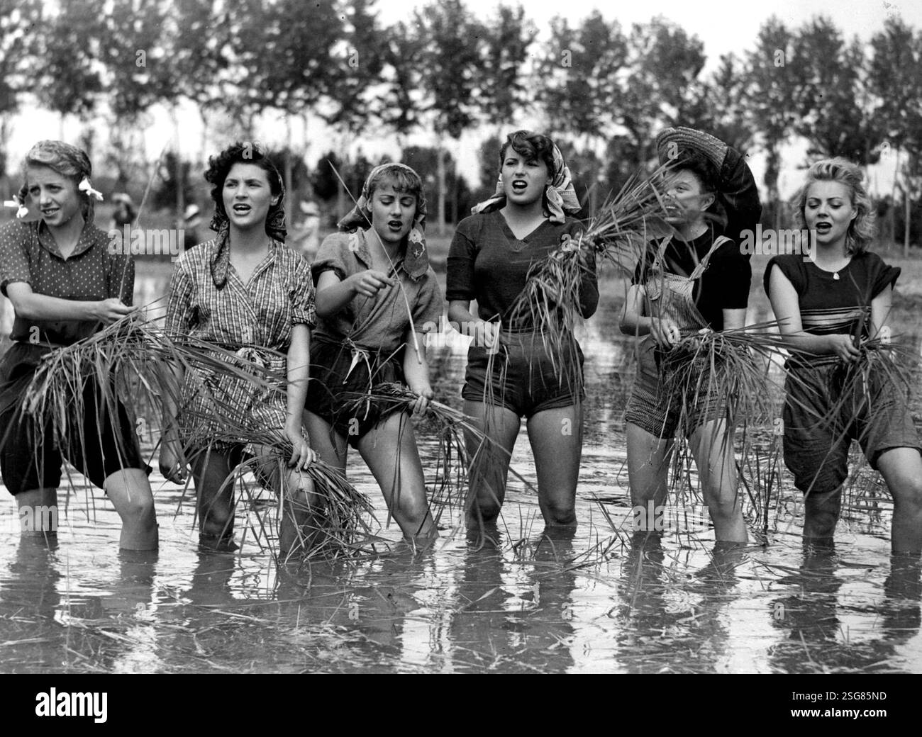 RISO AMARO aka BITTER RICE SILVANA MANGANO Date: 1949 Stock Photo - Alamy