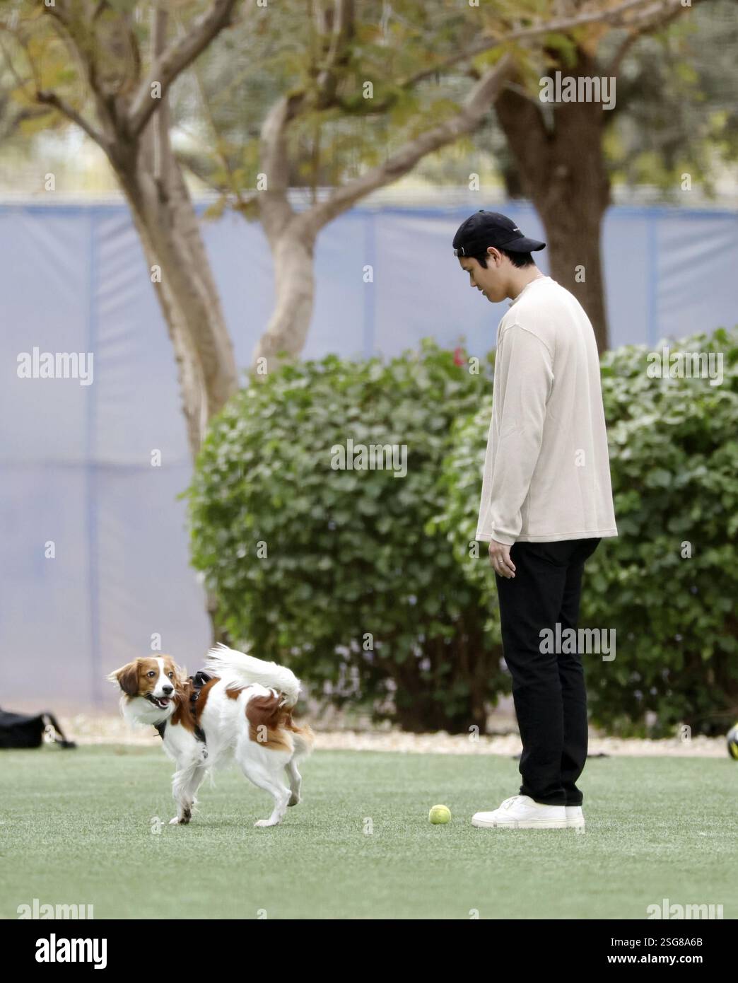 Shohei Ohtani of the Los Angeles Dodgers plays with his pet dog Dekopin ...
