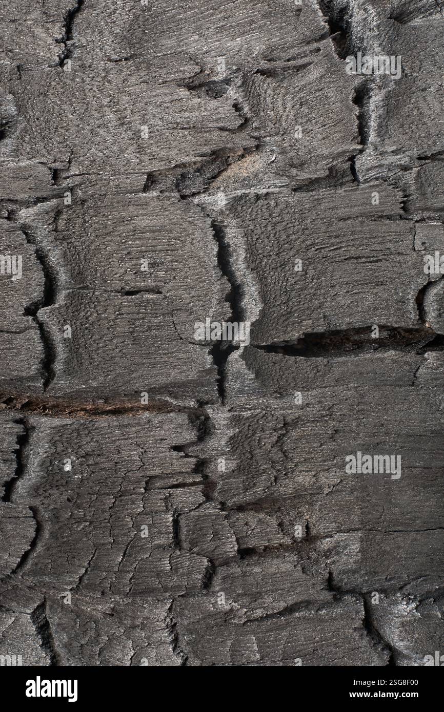 close-up macro view of wood burnt texture, black detailed surface of ...