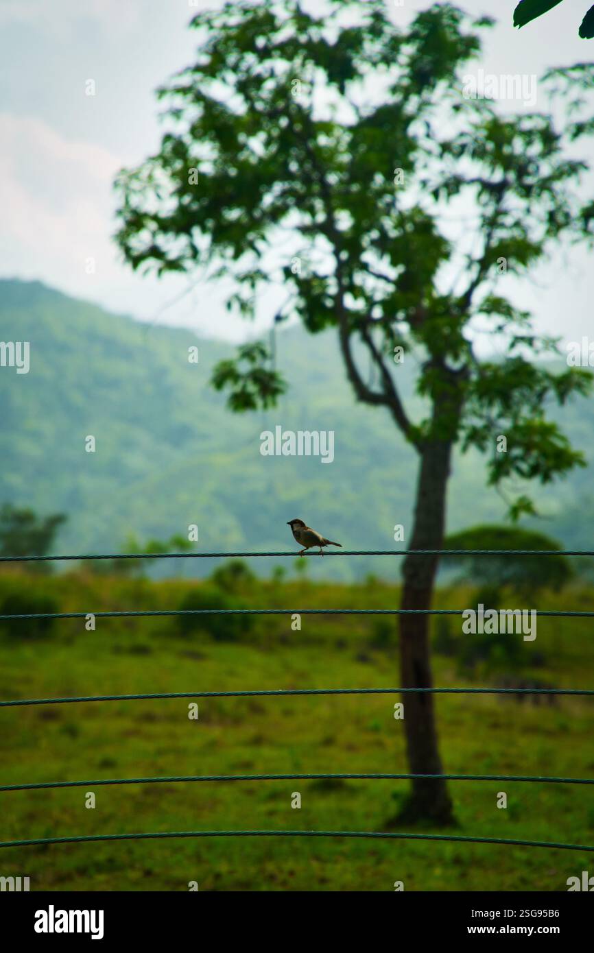 Scenic bird view hi-res stock photography and images - Alamy