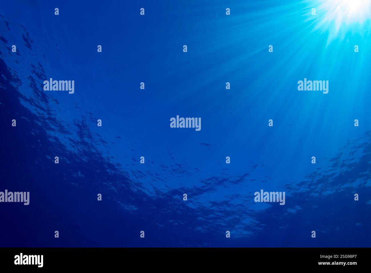 Looking up surface from underwater hi-res stock photography and images ...