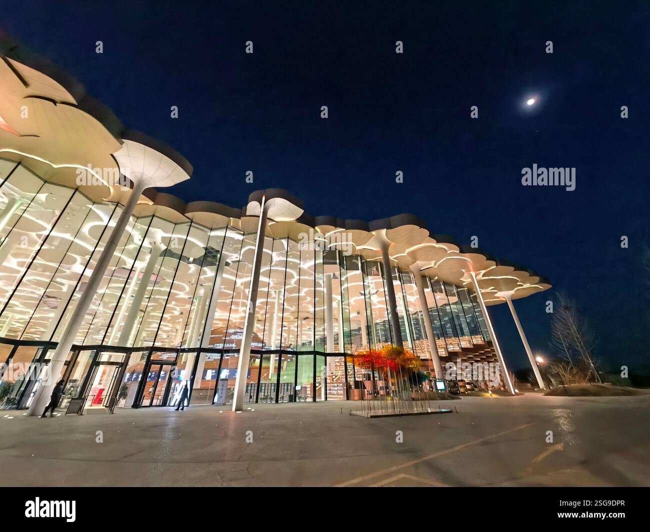 BEIJING, CHINA - FEBRUARY 9, 2025 - Photo taken on Feb 9, 2025 shows ...