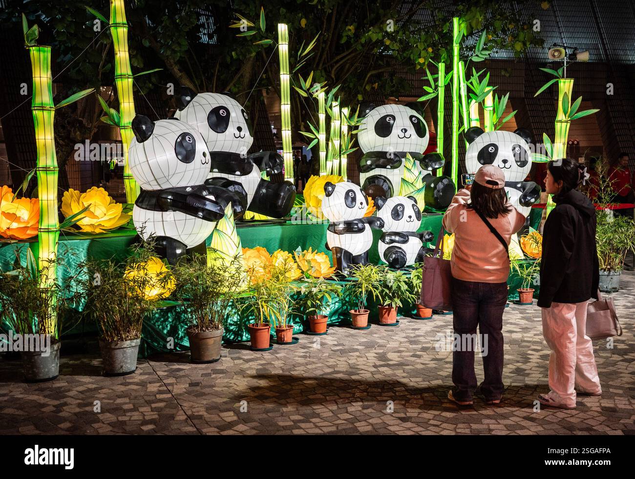 Giant panda theme lantern hi-res stock photography and images - Alamy