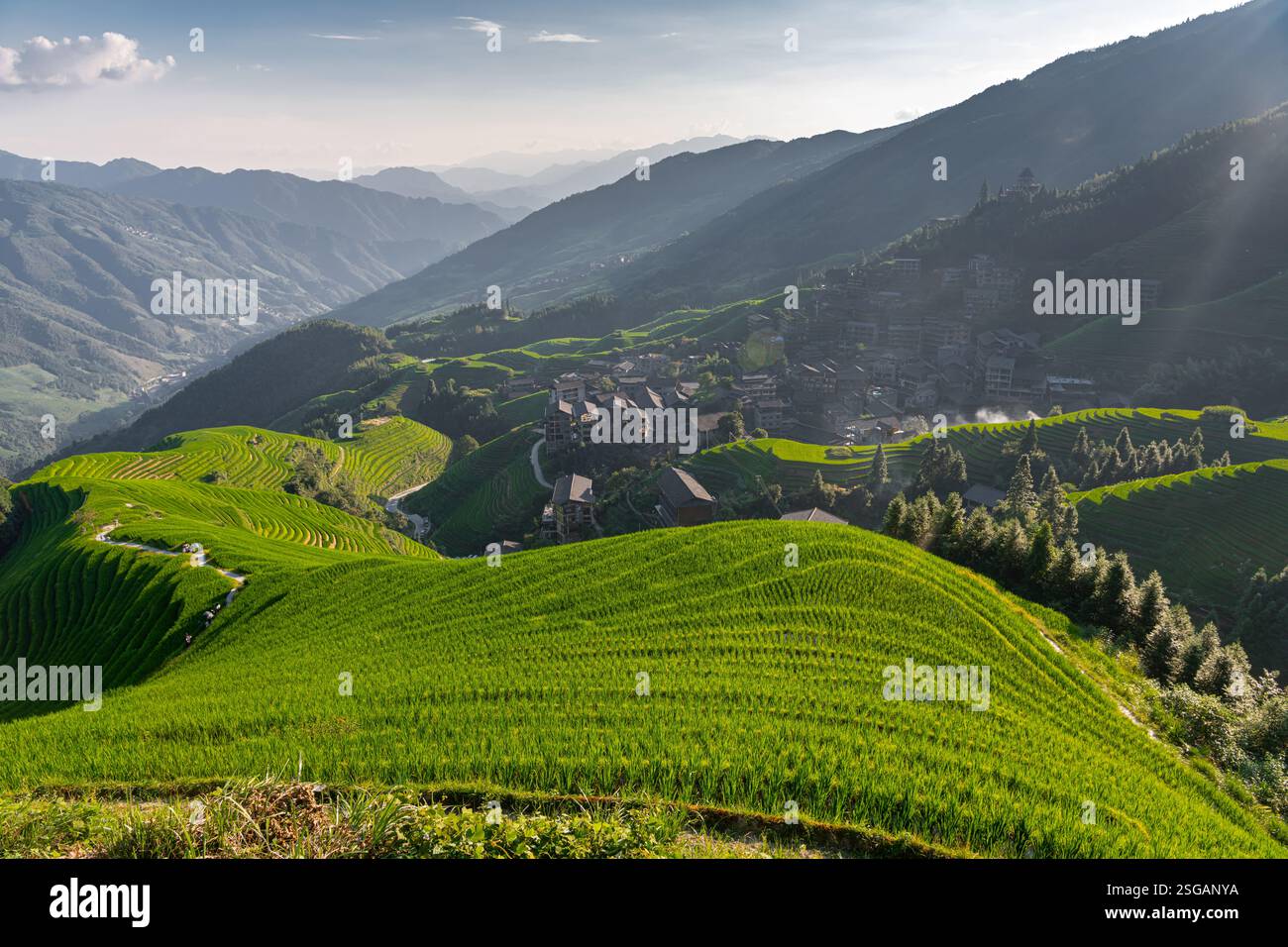 Yaoshan Mountain, Guilin, China hillside rice terraces landscape ...