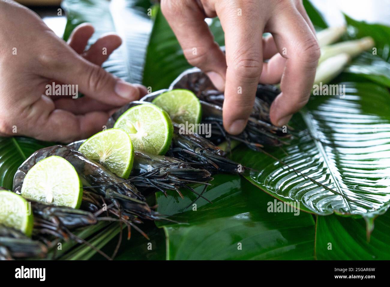 Resting atop lush green leaves hi-res stock photography and images - Alamy