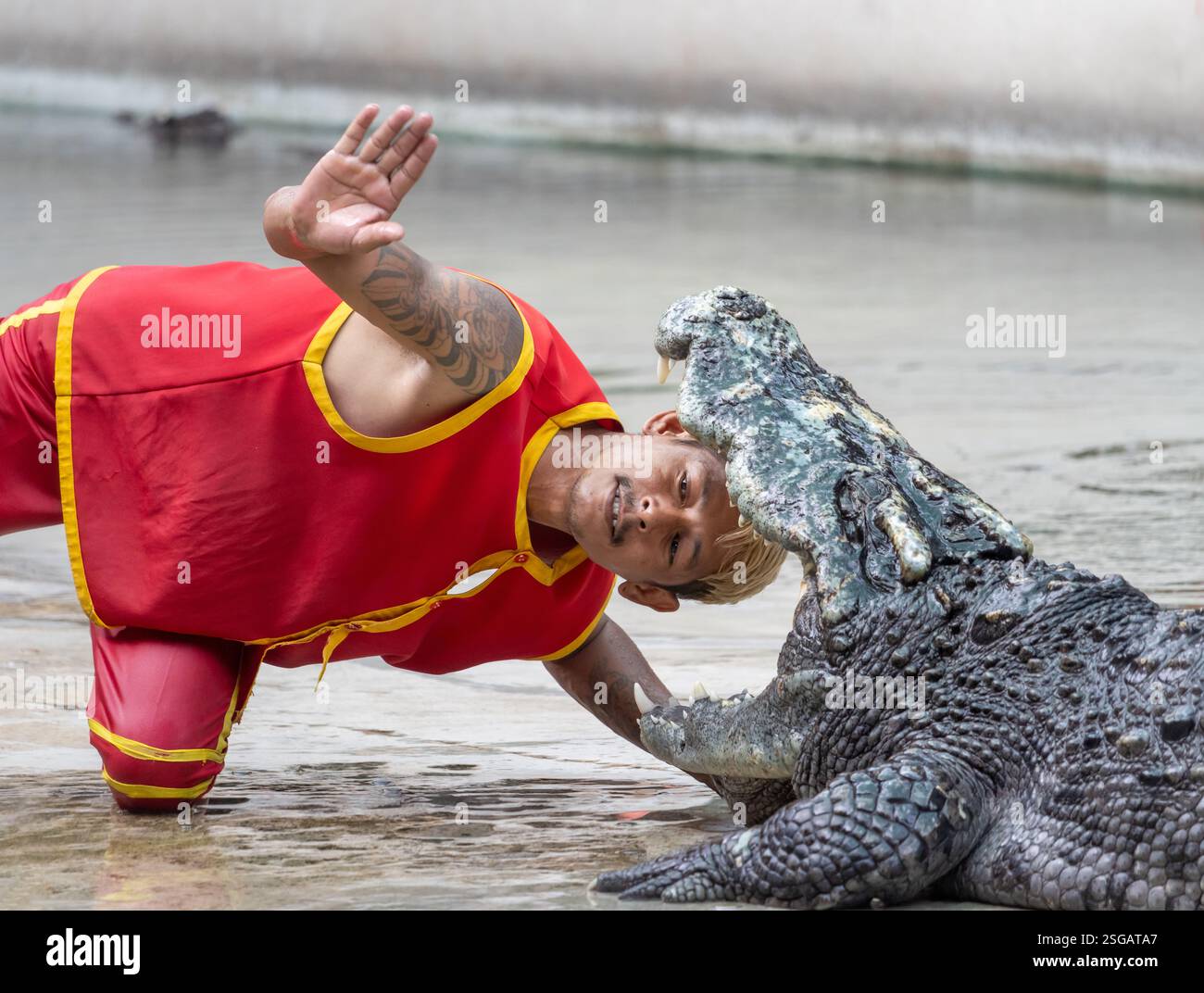 SAMUT PRAKAN, THAILAND, MAY 26 2024, The tamer is putting his head ...