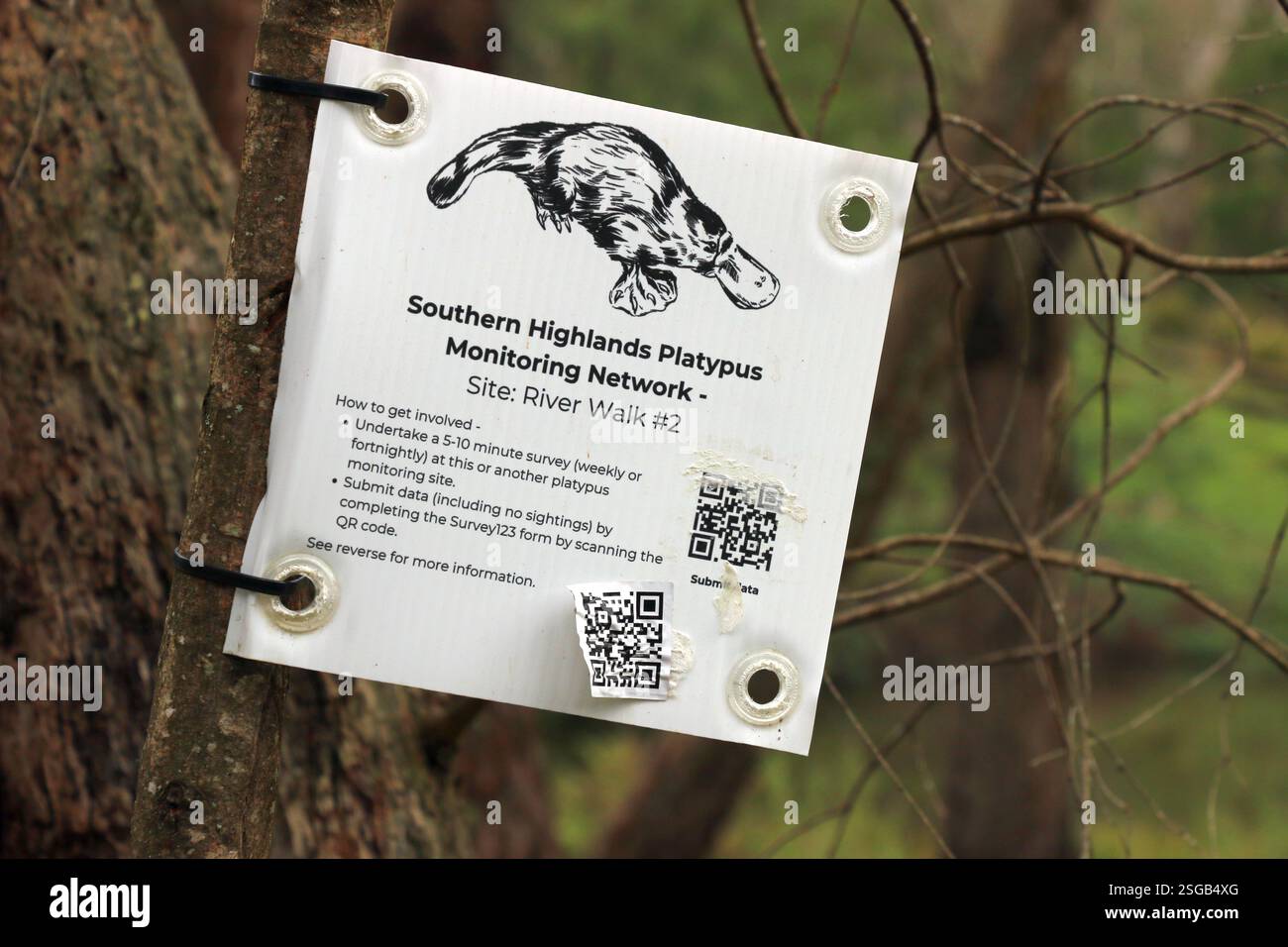 Berrima, NSW, Australia, 15 Jan 2025: Platypus sign by the ...