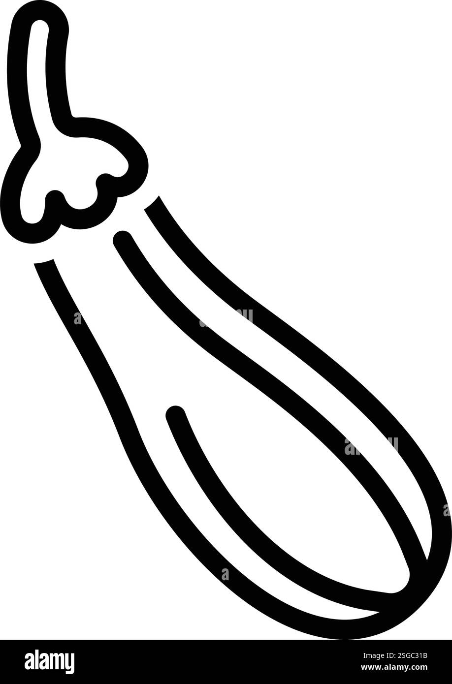 Courgette or courgette Black and White Stock Photos & Images - Alamy