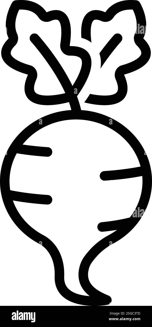 Beet vector vectors Black and White Stock Photos & Images - Alamy