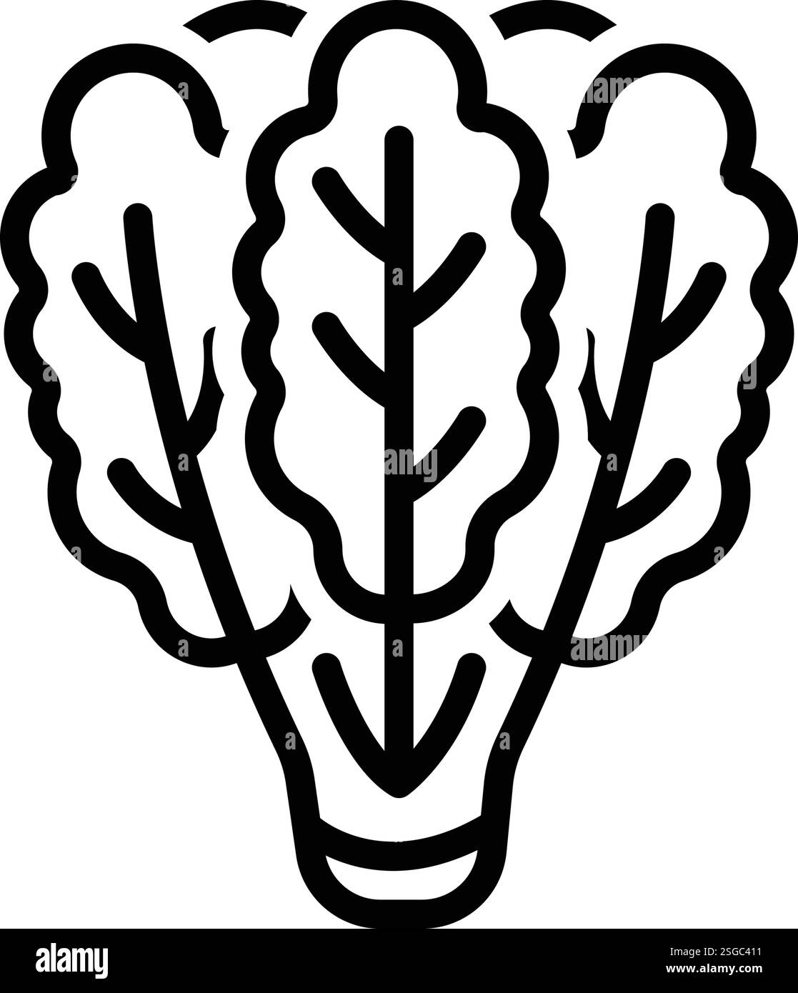 Cabbage silhouette Black and White Stock Photos & Images - Alamy