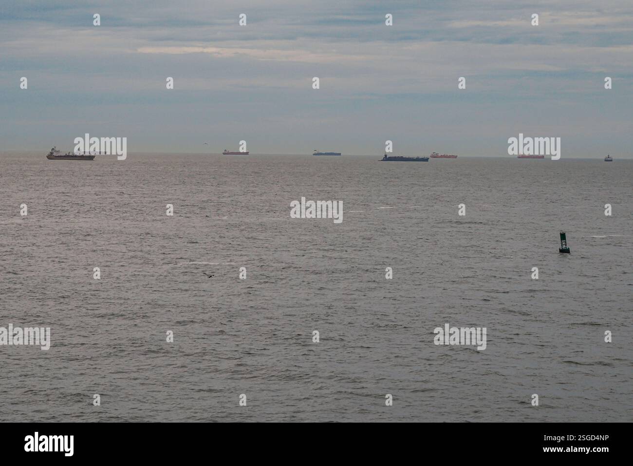 Fleet of Cargo ship at anchor at sea Stock Photo - Alamy