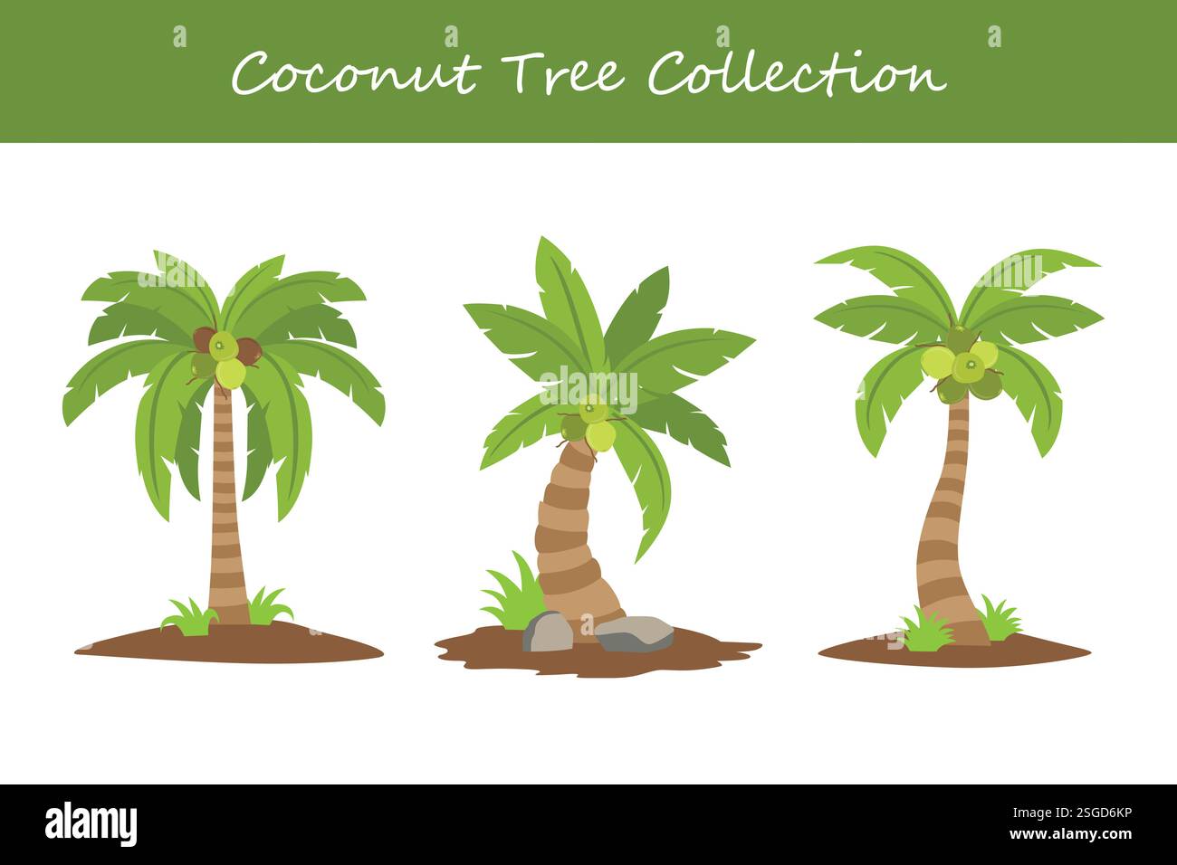 coconut tree collection in different poses. Vector illustration Stock ...