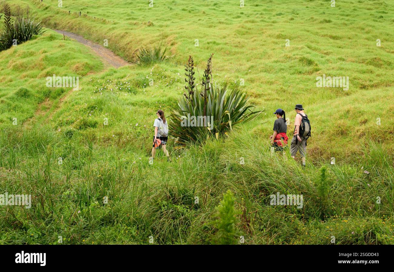 Three people walking at Long Bay coastal Okura Track among lush green ...